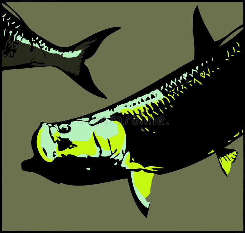 Tarpon Stock Illustrations – 158 Tarpon Stock Illustrations, Vectors ...
