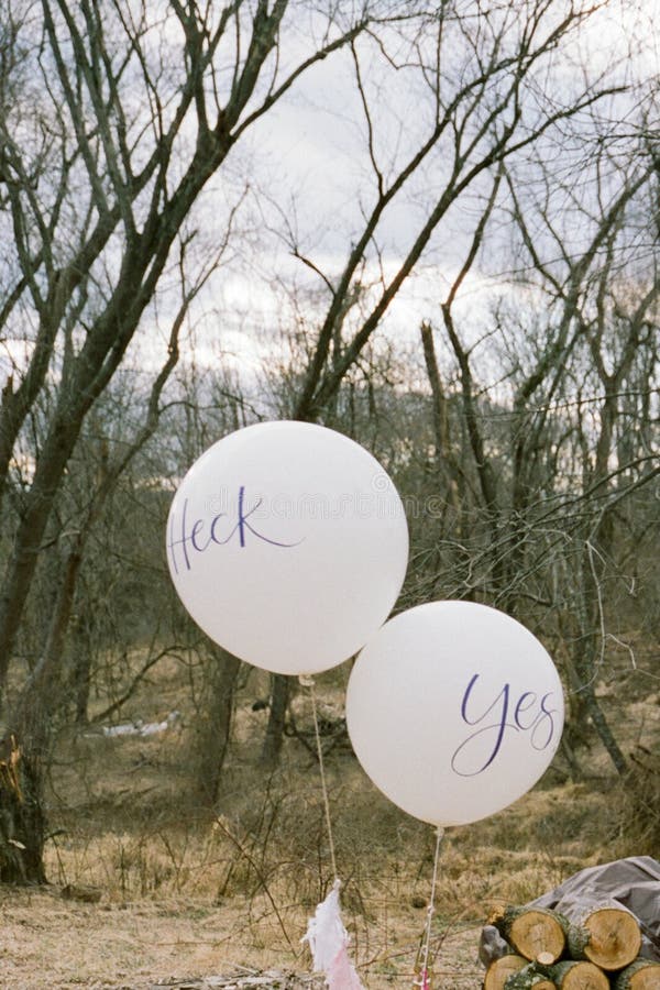 Celebration with White Balloons Displaying Messages in a Natural ...