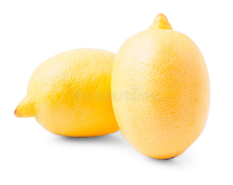 Two large yellow lemons stock photo. Image of citrus - 61232924