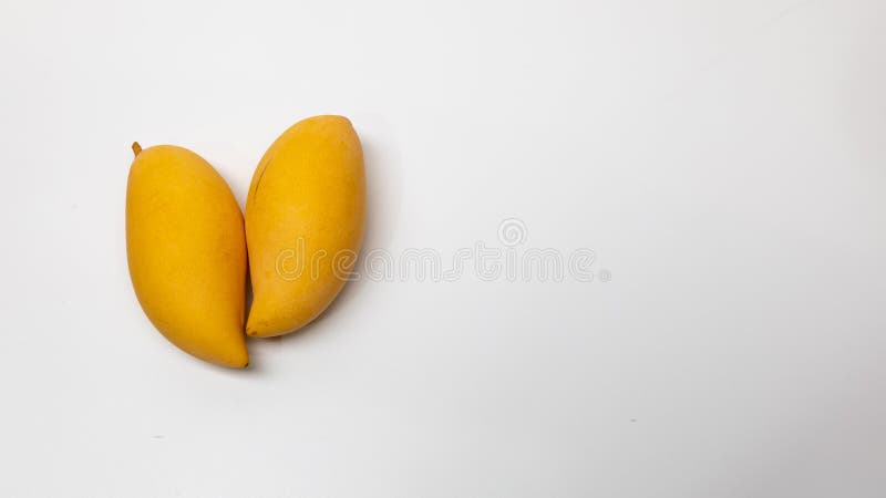 Two Large Yellow Mangoes with a White Background Stock Image - Image of ...