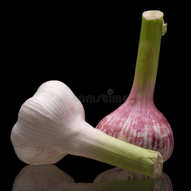 Two Large Young Garlic Isolated Stock Photo - Image of food, spice ...