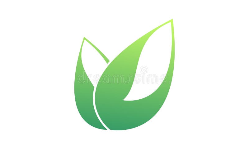 Two Leaf Icon Design Vector Stock Illustration - Illustration of bloom ...