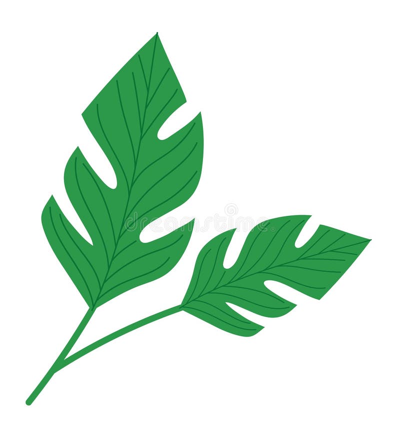 Two leaf illustration stock vector. Illustration of decoration - 249258349