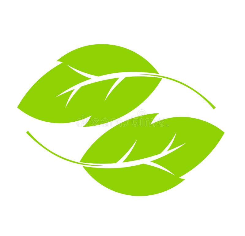 Set of Beautiful Green Leaves Stock Vector - Illustration of bamboo ...