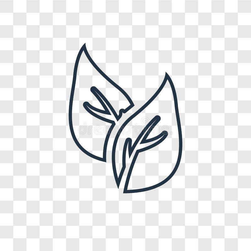 Two Leaves Concept Vector Linear Icon Isolated on Transparent Ba Stock ...