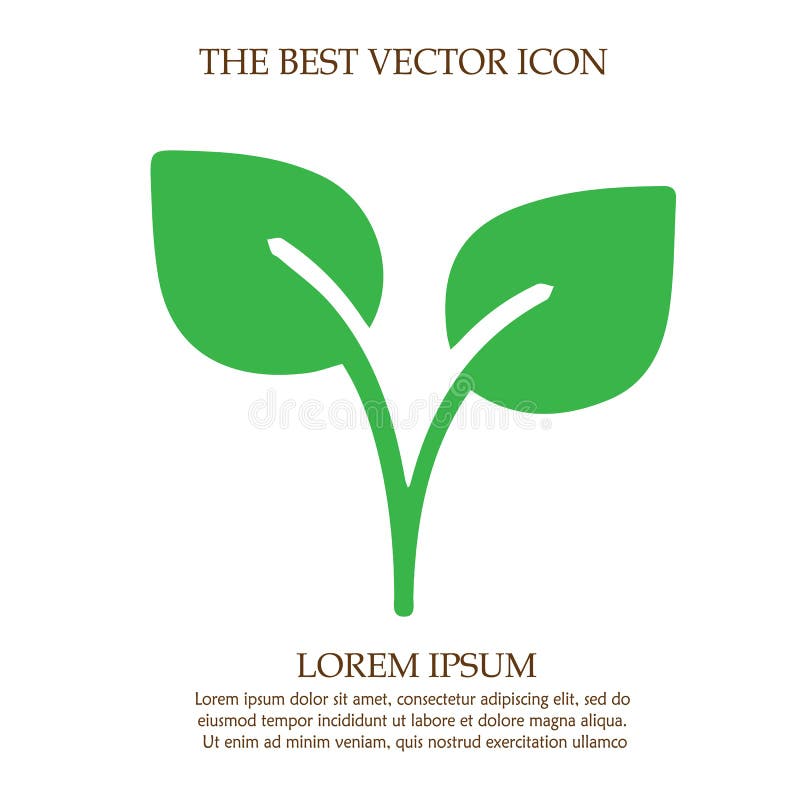 Two Leaves Vector Icon Eps 10 Stock Vector - Illustration of symbol ...