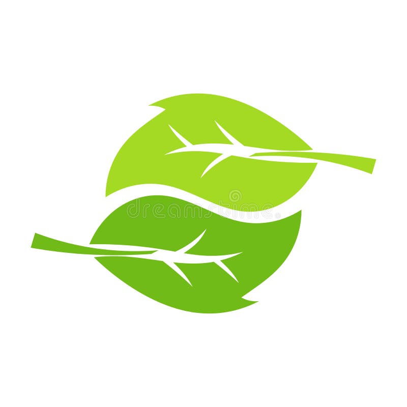 Two leaves vector stock vector. Illustration of ecology - 99814063
