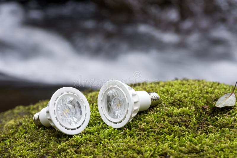 Two LED light bulbs stock photo. Image of lamp, industry - 122325532