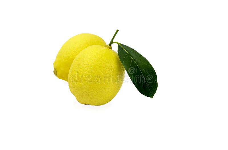 Two Lemon Yellow with Green Leaves. Stock Image - Image of market ...