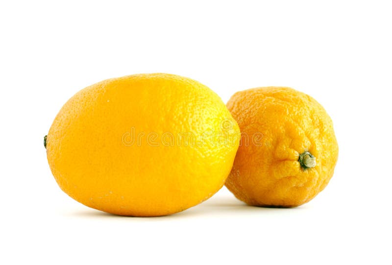 Two lemons stock photo. Image of seasoning, vegetable - 15356144