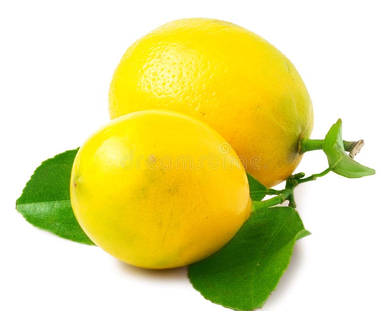Two lemons with leaf stock image. Image of acid, nutrition - 63010549