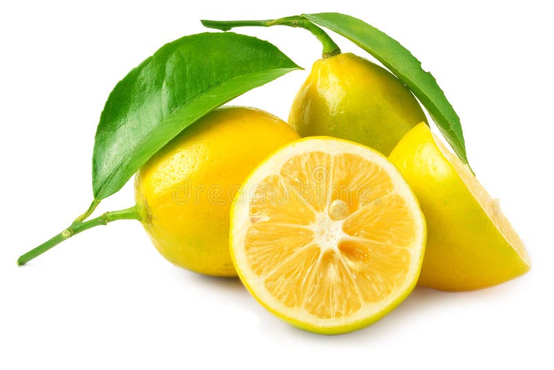 Two lemons with leaf stock photo. Image of closeup, nutrition - 64580284