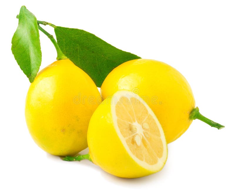 Two lemons with leaf stock photo. Image of closeup, nutrition - 64580284