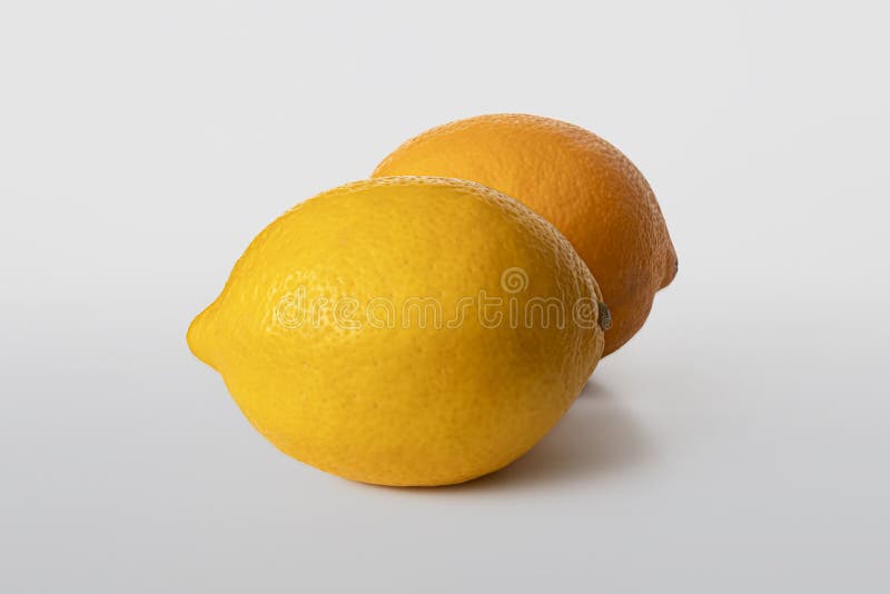 Two Orange Lemons on a Light Background Stock Image - Image of ...