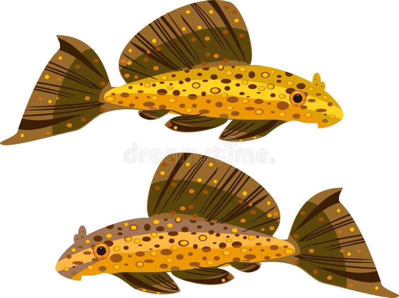 Pleco Stock Illustrations – 330 Pleco Stock Illustrations, Vectors ...