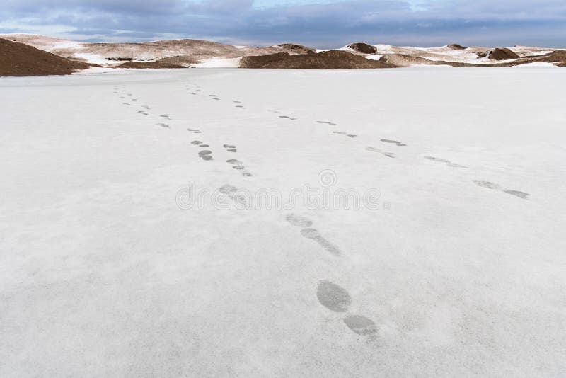 Two Lines of Footprints in the Snow Stretching into the Distance. Stock ...