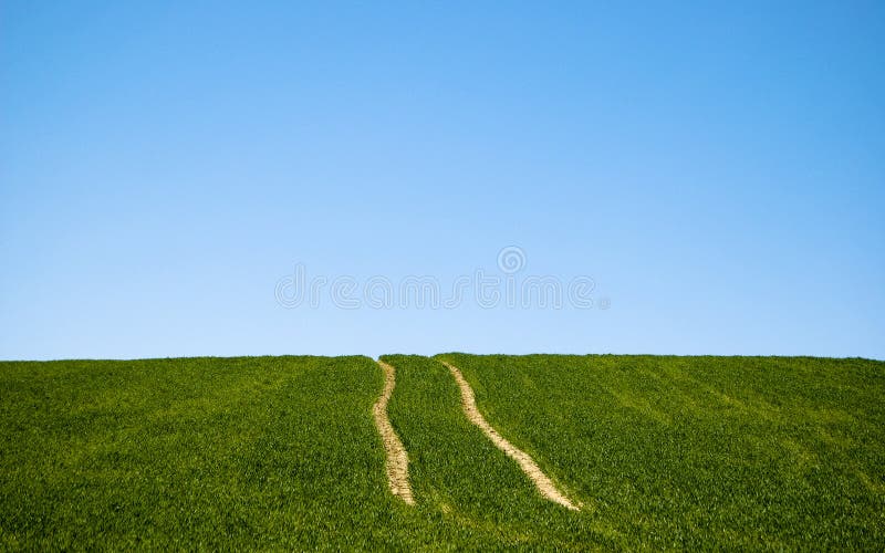 Parallel lines stock photo. Image of village, flower, lines - 1759844