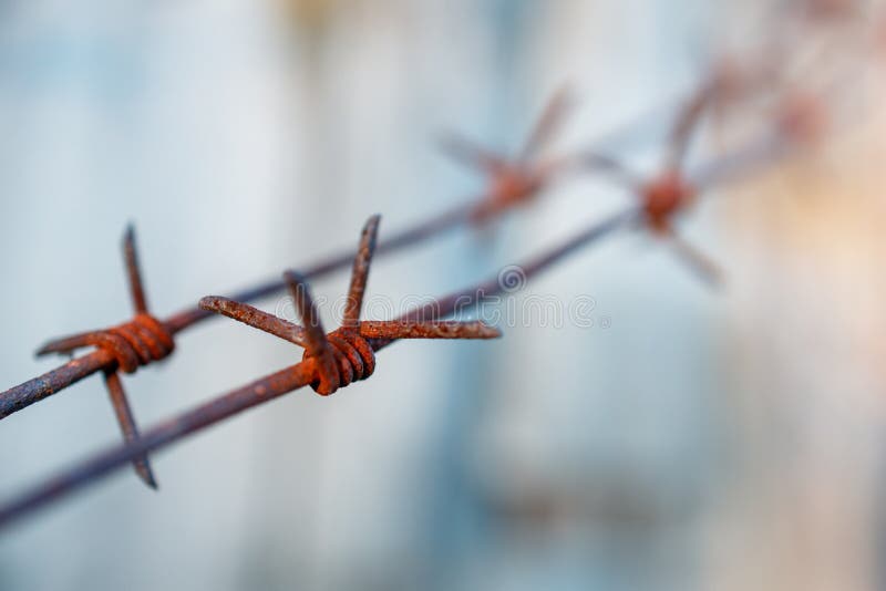 Two Lines of Rusty Wire with Spikes on a Blurred Background Stock Image ...