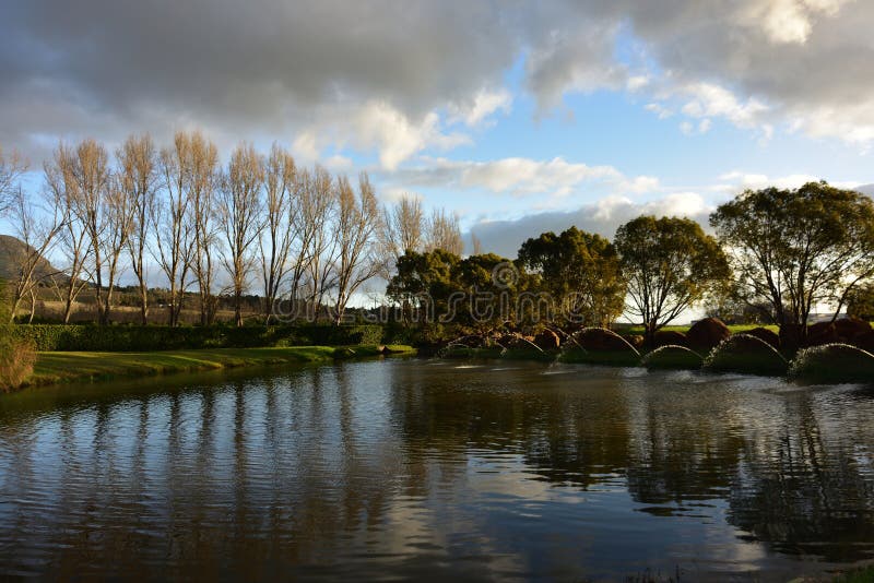 Two Lines of Trees Framing a Dam of Water Stock Image - Image of sunset ...