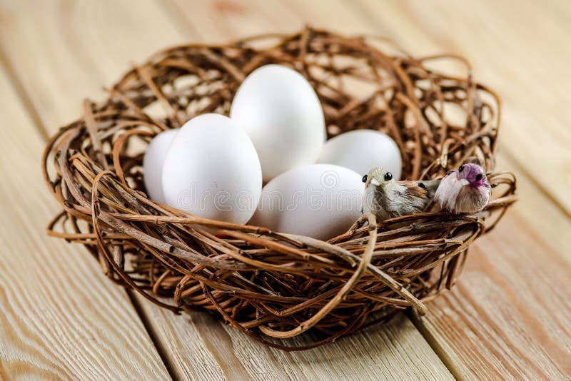 Two Little Birds on a Nest with Eggs Stock Photo - Image of flirting ...