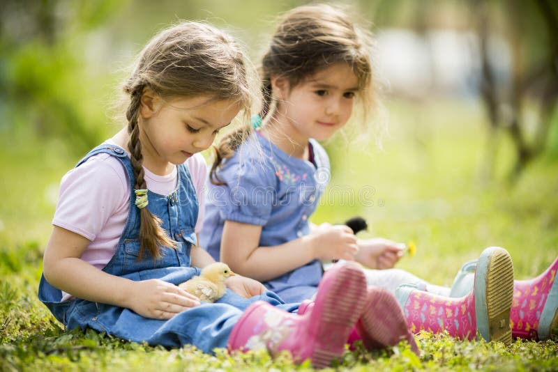 Two Little Girls with Chickens Stock Photo - Image of female, nature ...