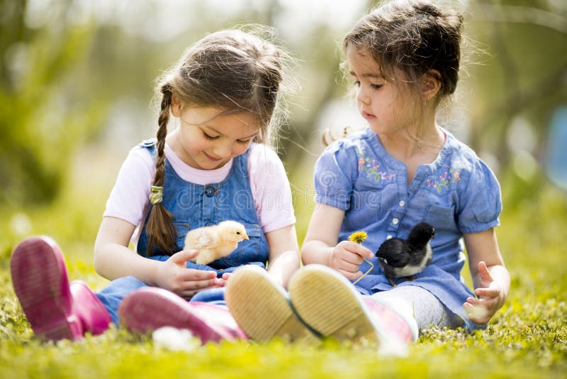 Two Little Girls with Chickens Stock Image - Image of alive, bright ...