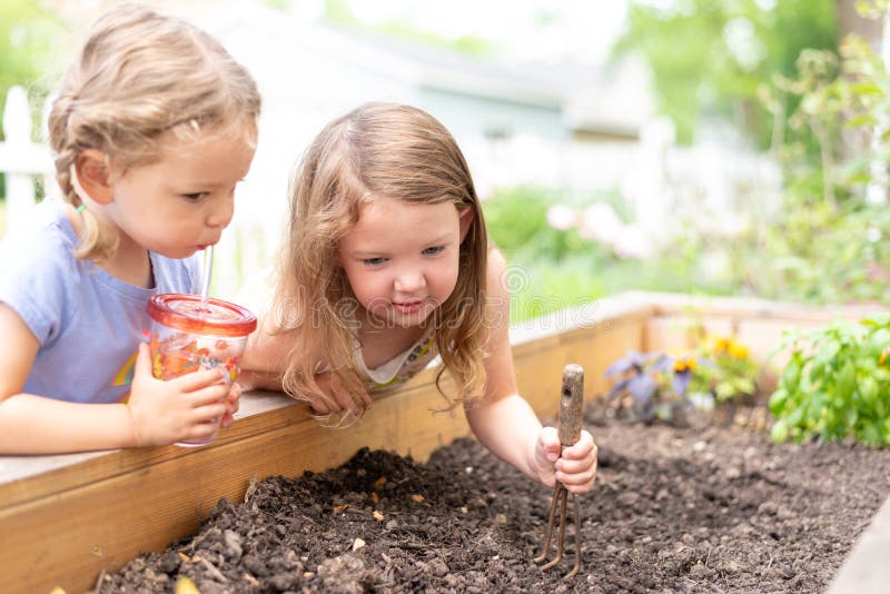 Two Little Girls Digging in a Garden Bed Stock Image - Image of ...