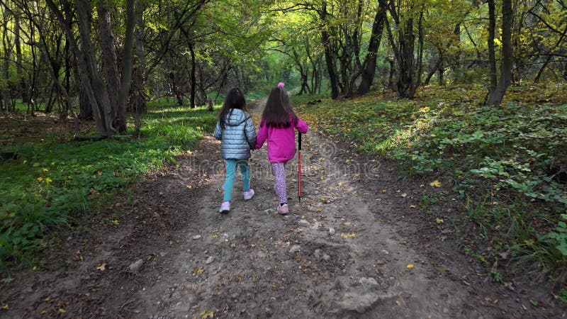 Little Girl is Walking through the Forest. Hiking in Mountain with ... Little Girl is Walking through the Forest. Hiking in Mountain with ...