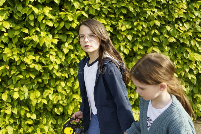 Two Little Kittens Walking with a Dog in the Park in Spring Stock Image ...