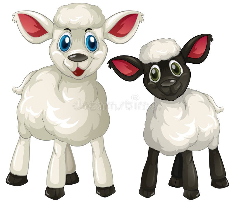 Little Lambs stock vector. Illustration of cartoon, loving - 6105535