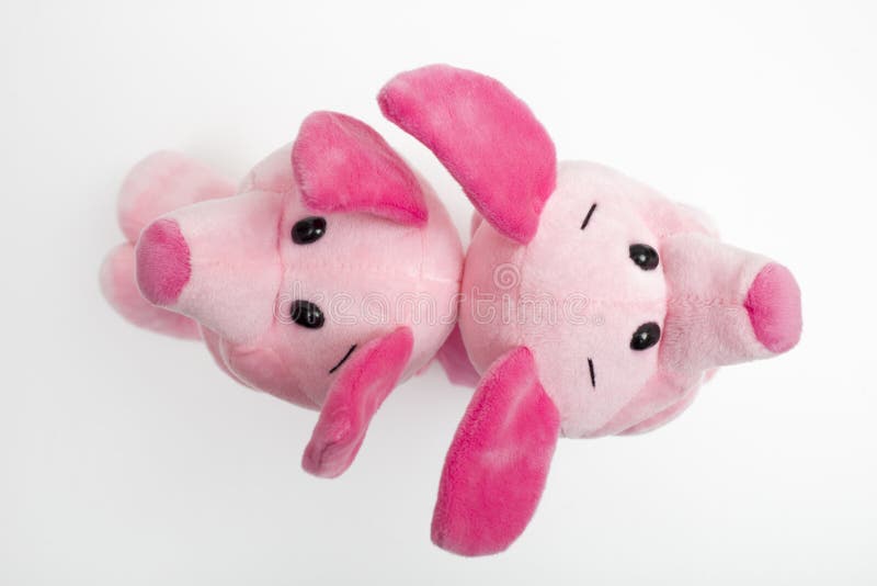 Two Little Pigs on the White Background Stock Photo - Image of animal ...