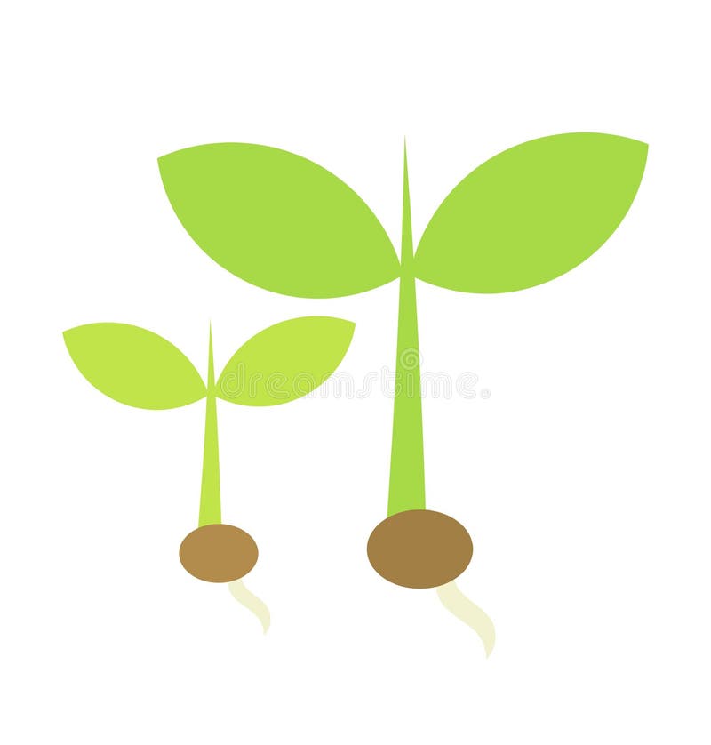 Two Little Plants Stock Illustrations – 204 Two Little Plants Stock ...