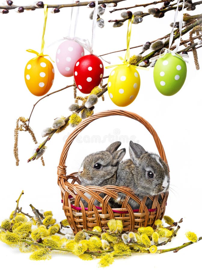 Two little rabbits stock image. Image of branch, closeup - 38536641