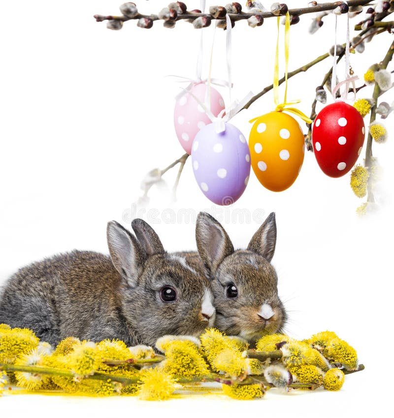 Two Little Rabbits and Easter Eggs Stock Photo - Image of flowery ...