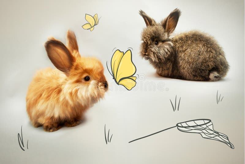 Two Little Rabbits with Illustrations of a Butterfly and a Sap. Stock ... Two Little Rabbits with Illustrations of a Butterfly and a Sap. Stock ...