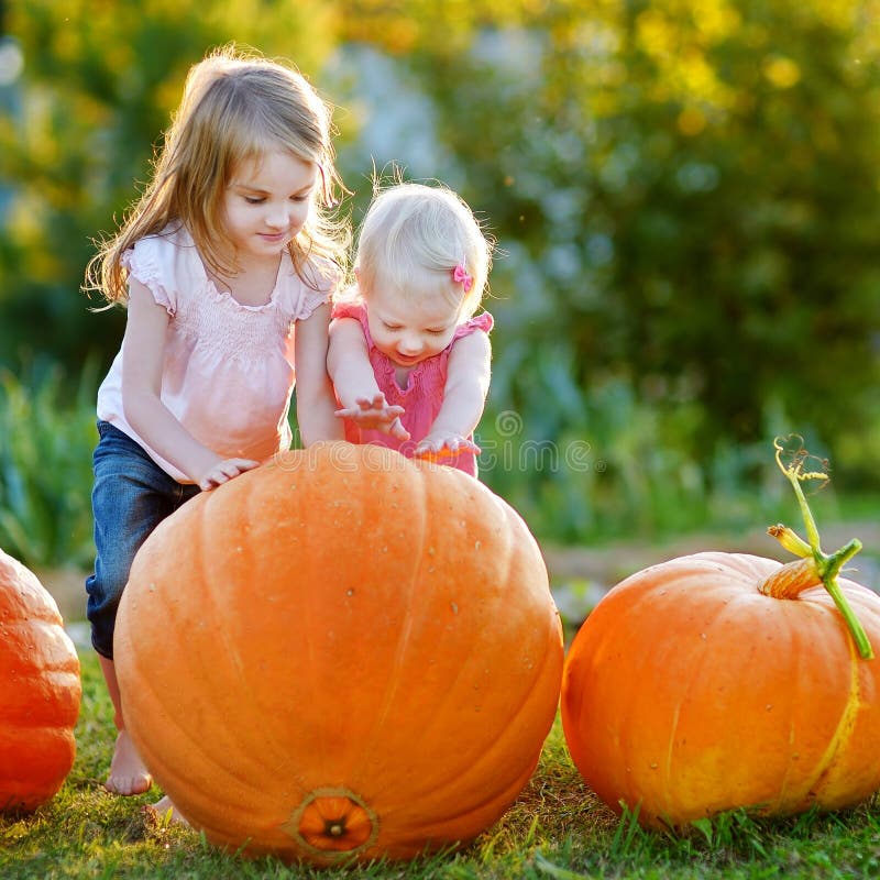Two Little Sisters Playing with Huge Pumpkins Stock Image - Image of ...