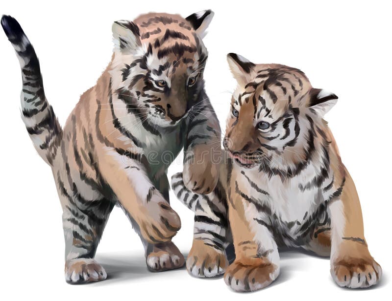 Two white tigers stock illustration. Illustration of green - 49267804