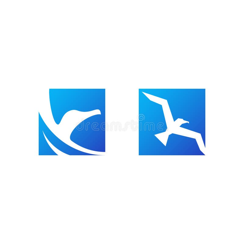 Two Logos of a Seagull Bird Inside Square Shapes Stock Illustration ...