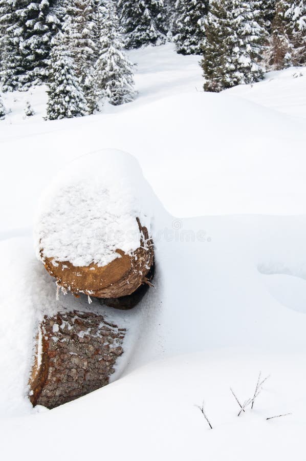 Two Logs Covered by the Snow Stock Image - Image of beautiful, material ...