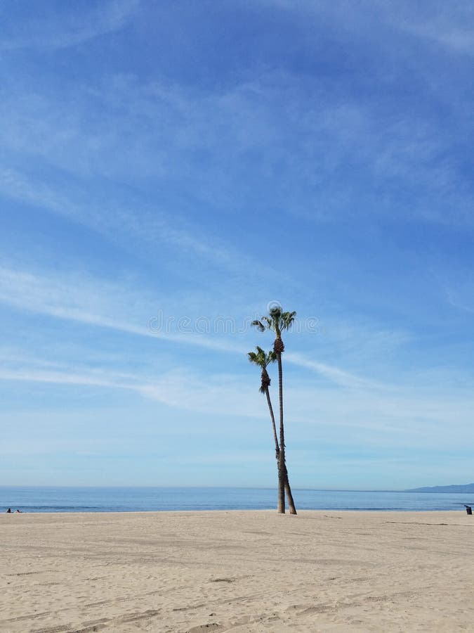 Two Lone Palm Trees on Ocean Beach Stock Image - Image of palm, malibu ...