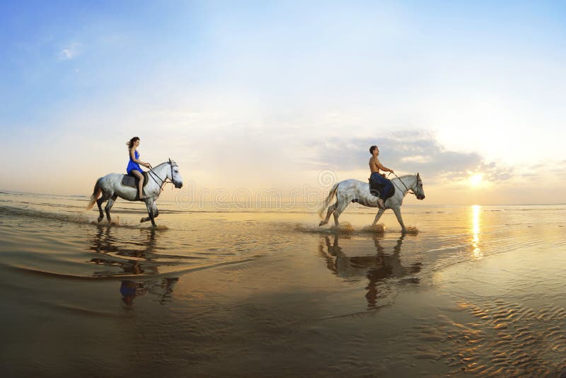 Galloping Horses stock image. Image of activities, people - 51859