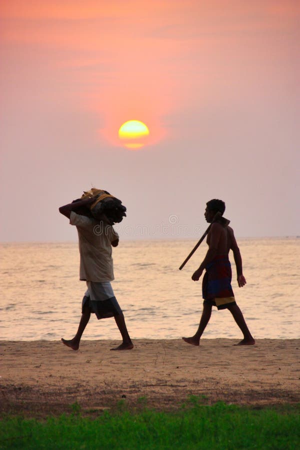Lumberjacks on the Beach at the Indian Ocean Editorial Photo - Image of ...