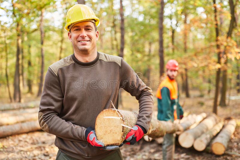 1,263 Carry Log Photos - Free & Royalty-Free Stock Photos from Dreamstime