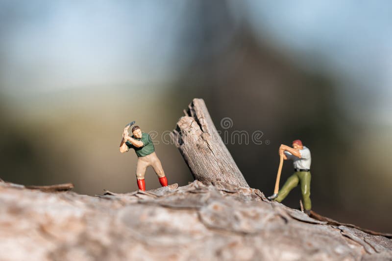 Two Lumberjacks Cutting Stump with Axes Stock Image - Image of figure ...
