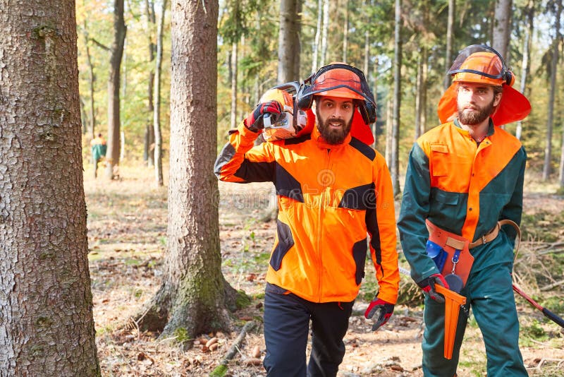Two Lumberjacks with Chainsaw and Axe. Male Lumberjack in the Forest ...