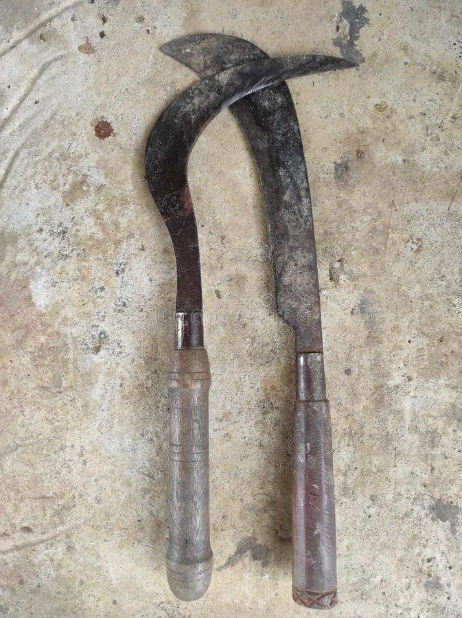 Two Machetes for Working in the Garden Stock Image - Image of roots ...