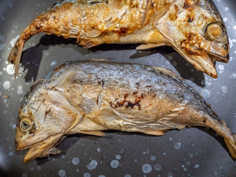 Two Mackeral Fish for Dinner Stock Image - Image of seafood, style ...