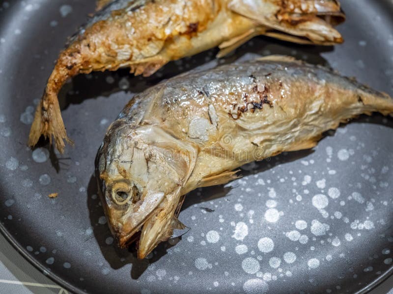 Two Mackeral Fish for Dinner Stock Image - Image of fish, thai: 226969813