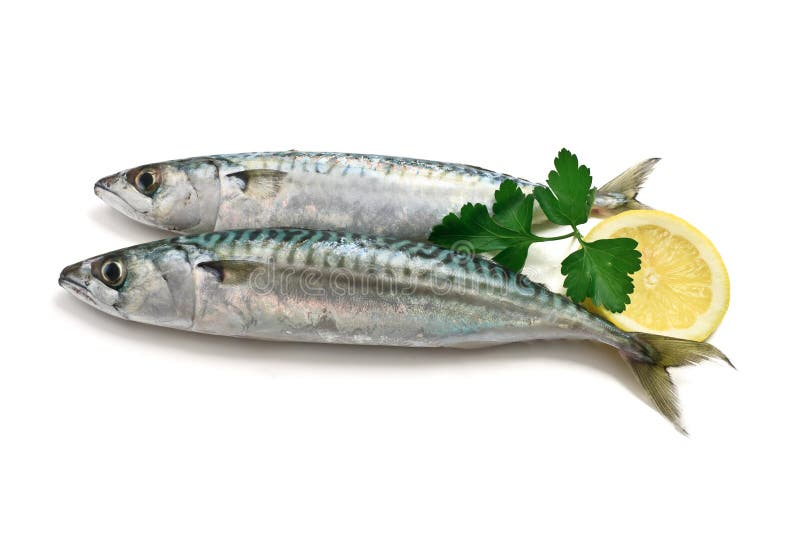 Two mackerel with lemon stock photo. Image of fish, food - 23560970
