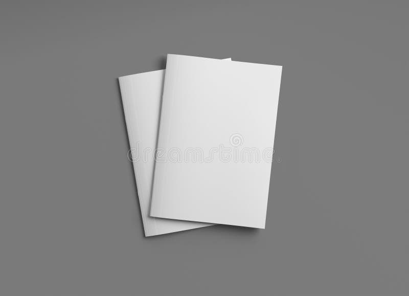 Two Magazine Covers Mockup on Grey Background with Soft Shadows. 3D ...